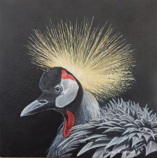 Animal Paintings by Shane